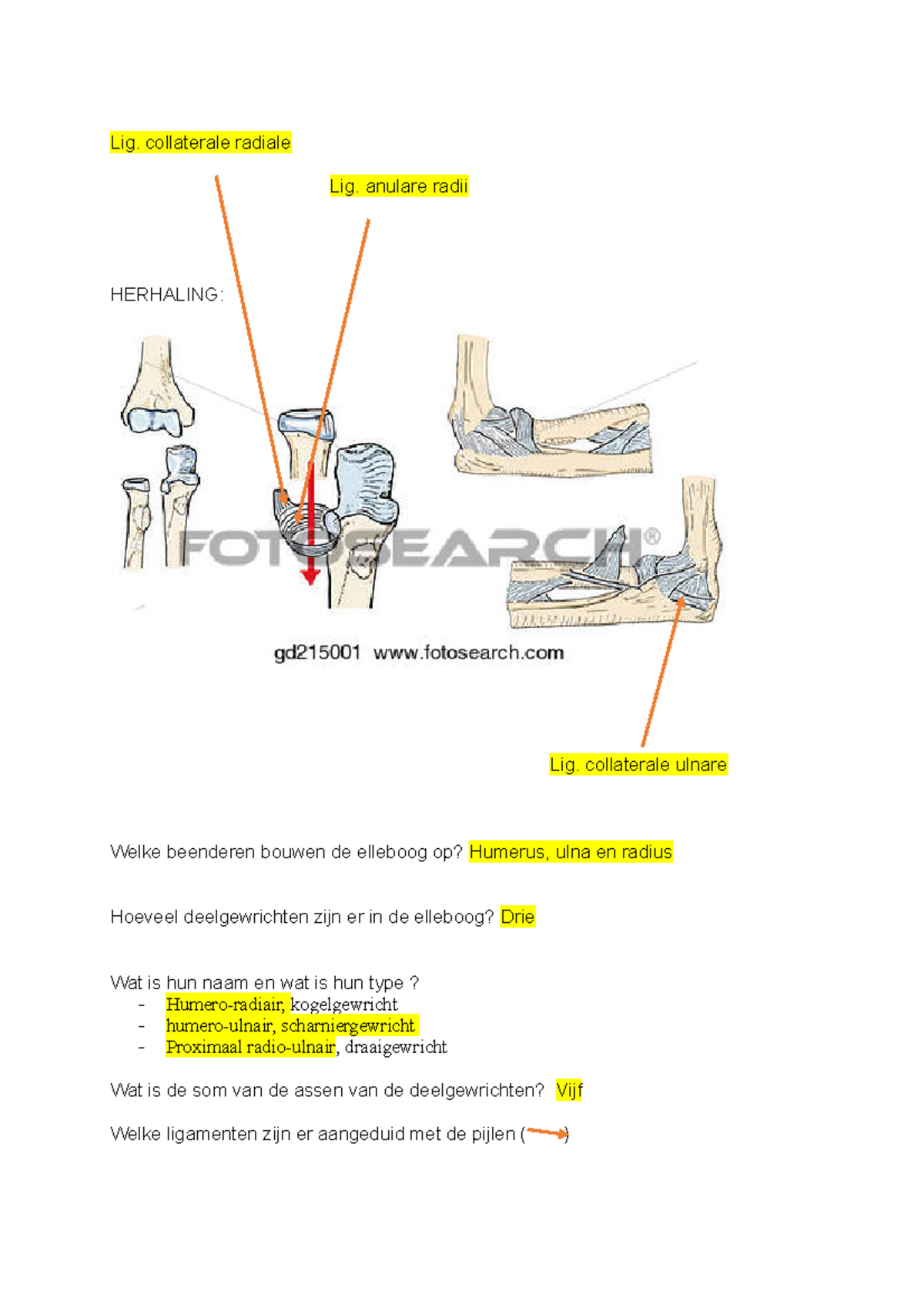 Elleboog met sleutel praktijk - Lig. collaterale radiale Lig. anulare ...