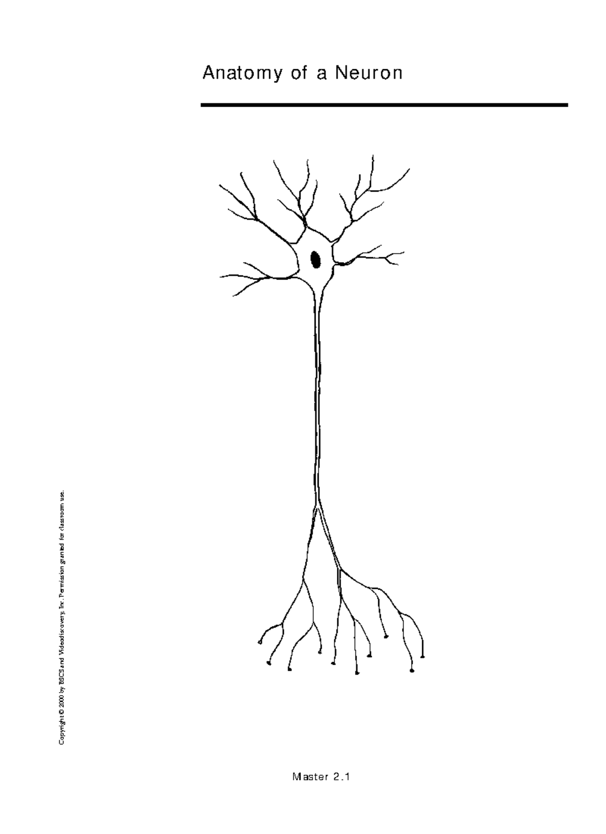 Neurotransmitters Sheet - Anatomy of a Neuron Copyright © 2000 by BSCS ...