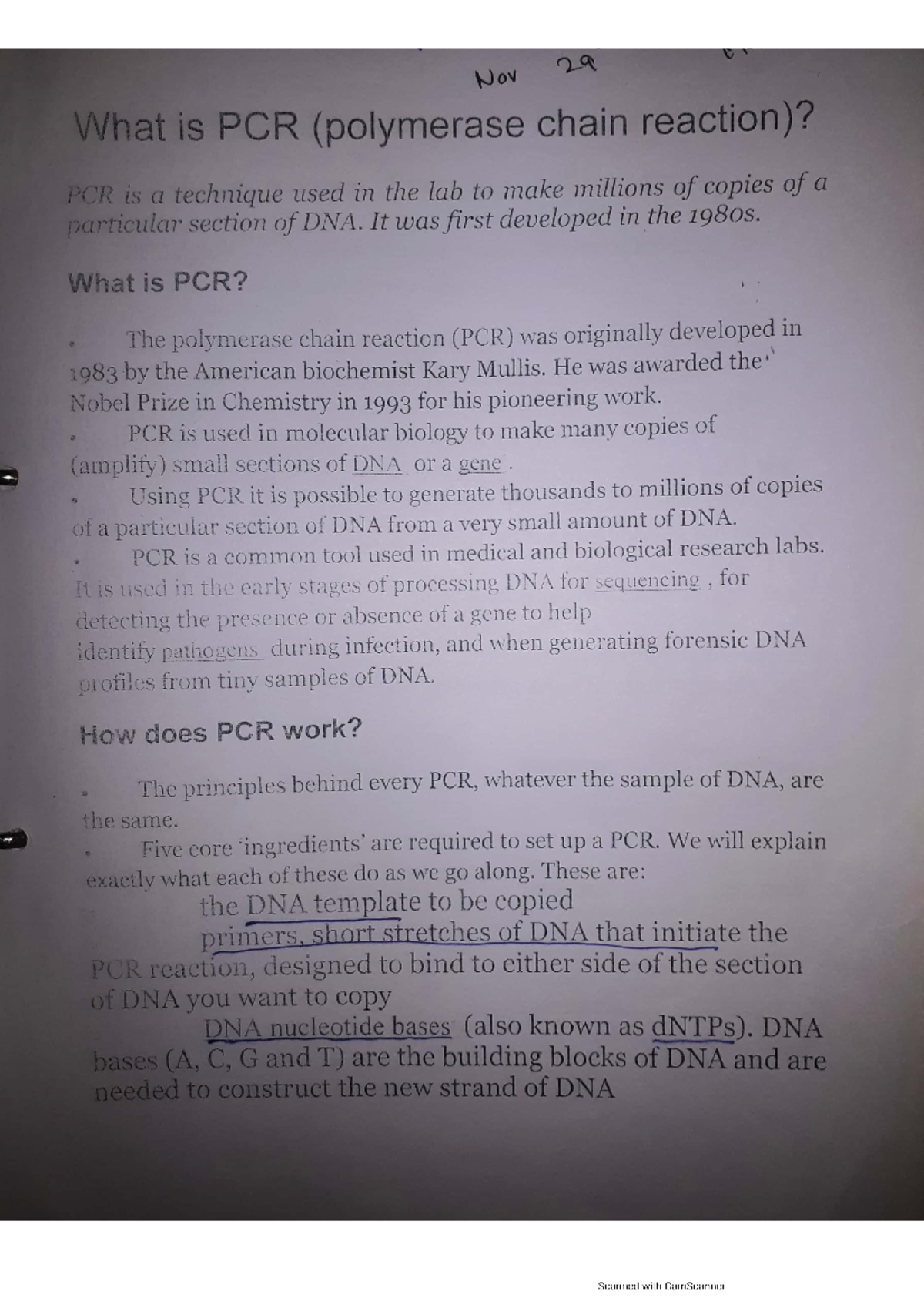PCR (polymerase chain reaction) and how it works - Biology - Studocu