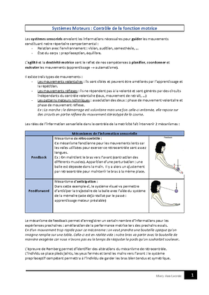Les hémisphères et les lobes cérébraux - Les hémisphères et les lobes ...