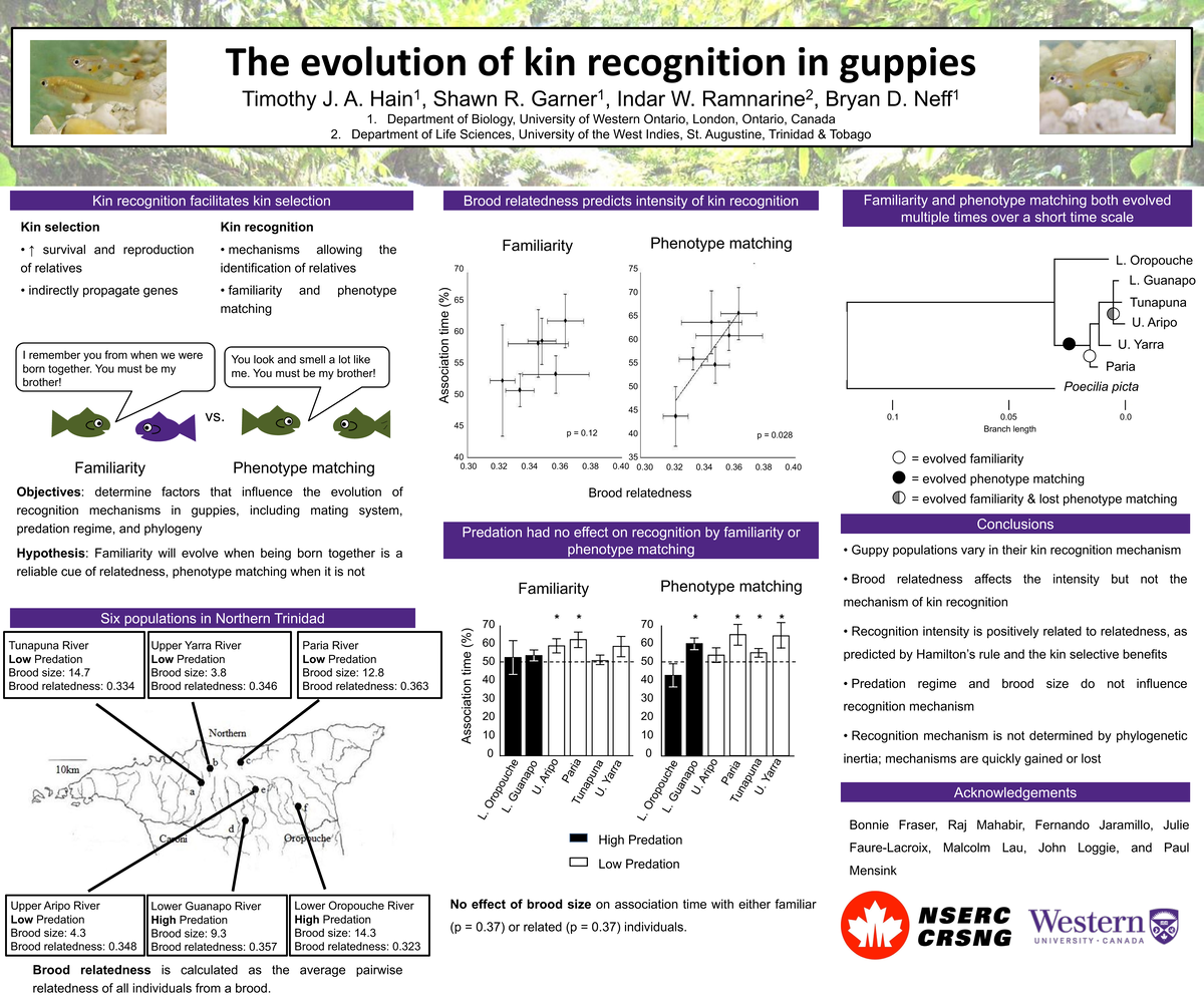 Poster exemplar 2 - Brood relatedness predicts intensity of kin ...