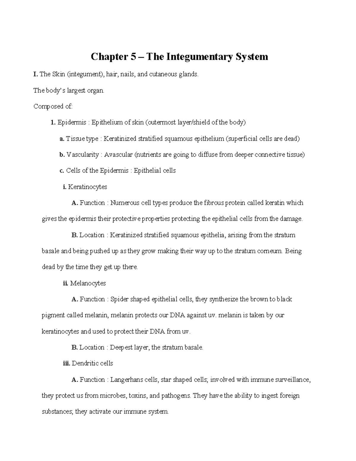 Chapter 5 usethis - Integumentary System - Chapter 5 – The ...