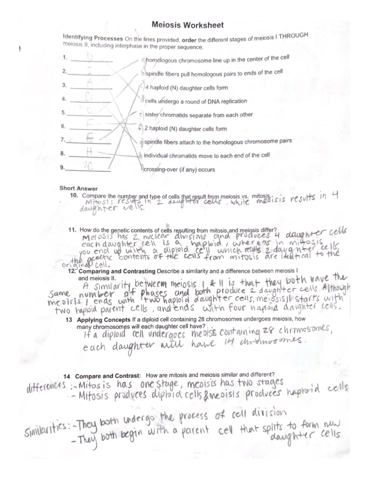 Meiosis Worksheet - meosis practice - Studocu