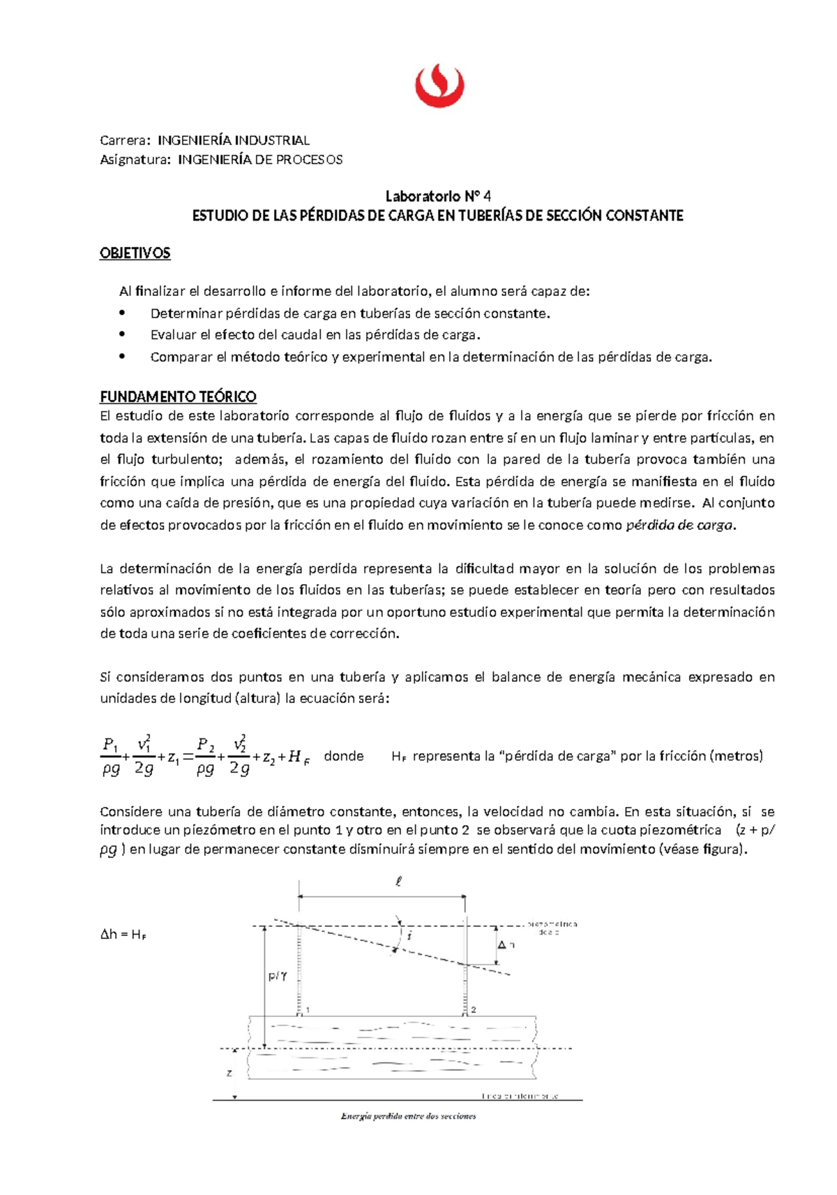 Gu¡a Laboratorio Nø4 - P‚rdida de carga - Ingenier¡a de Procesos - Carrera: INGENIERÍA ...
