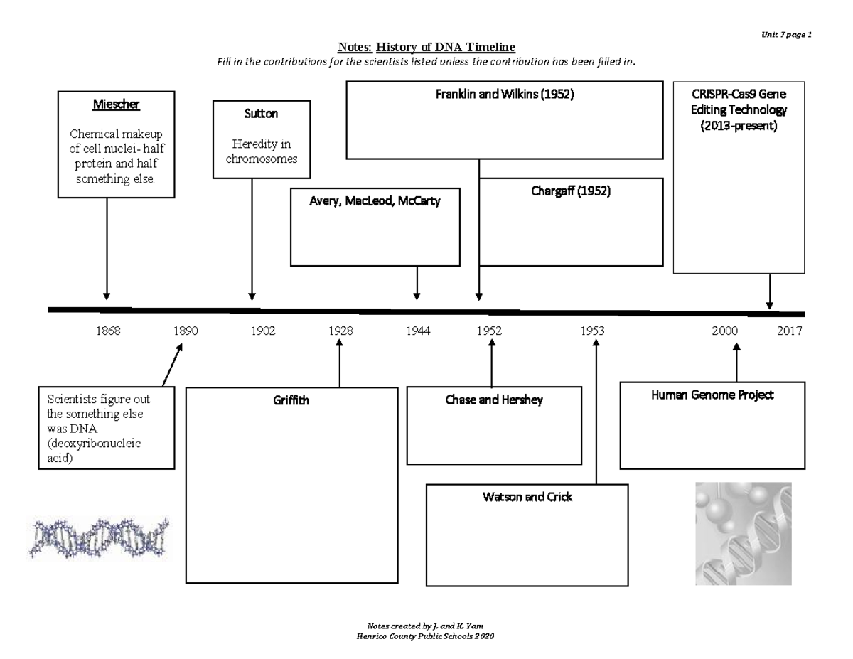 Bio Unit 7 - DNA History-Structure-Rep - Notes: History of DNA Timeline ...