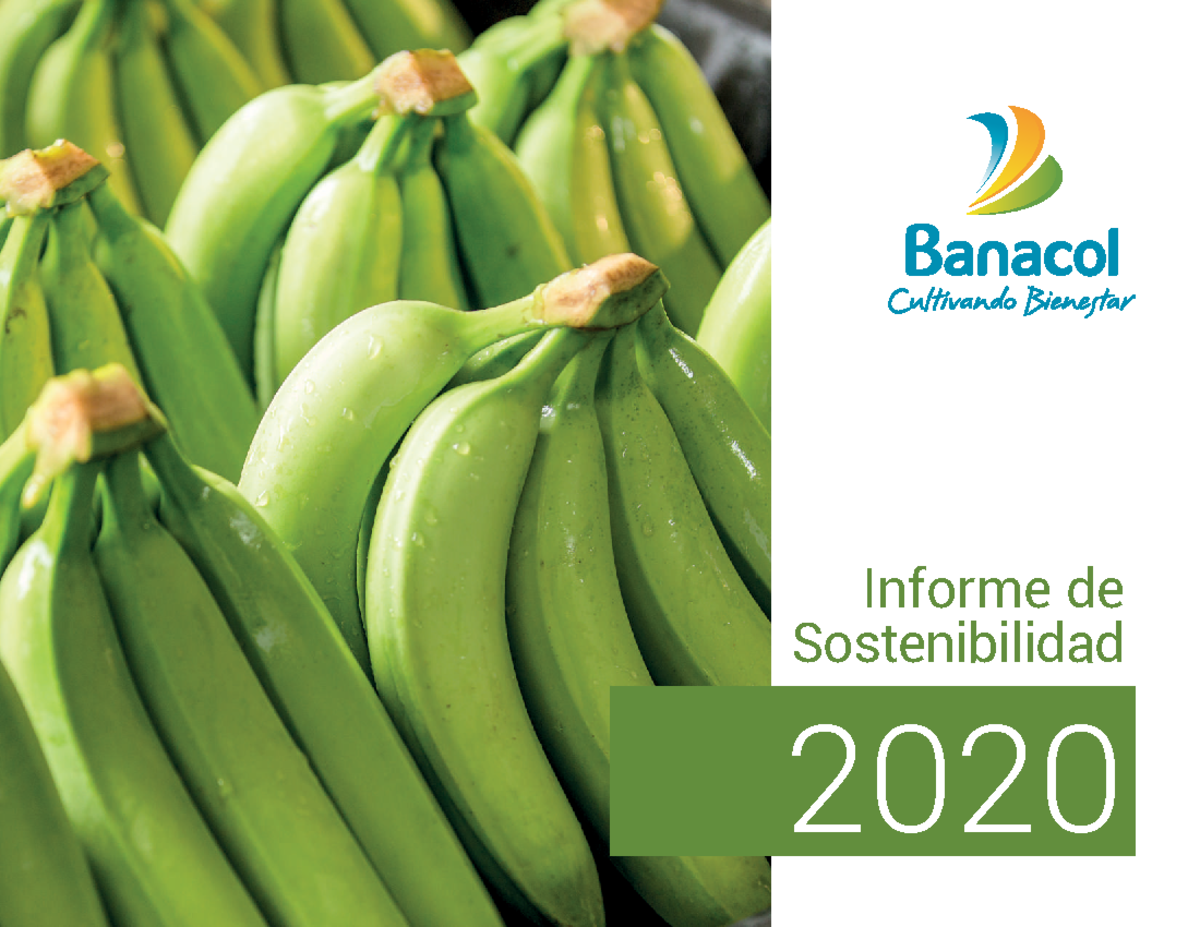 Informe sostenibilidad banacol 2020 - Informe de Sostenibilidad 2020 ...