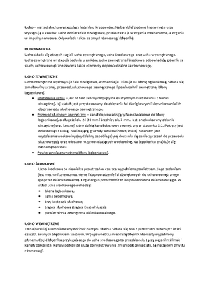 Anatomia psa - Anatomia psa ANATOMIA PSA to nauka o budowie ciała psa ...