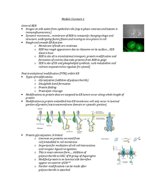 Lesson 3 Cells to Tissue - Lesson 3A: Cells To Tissue (Cell ...