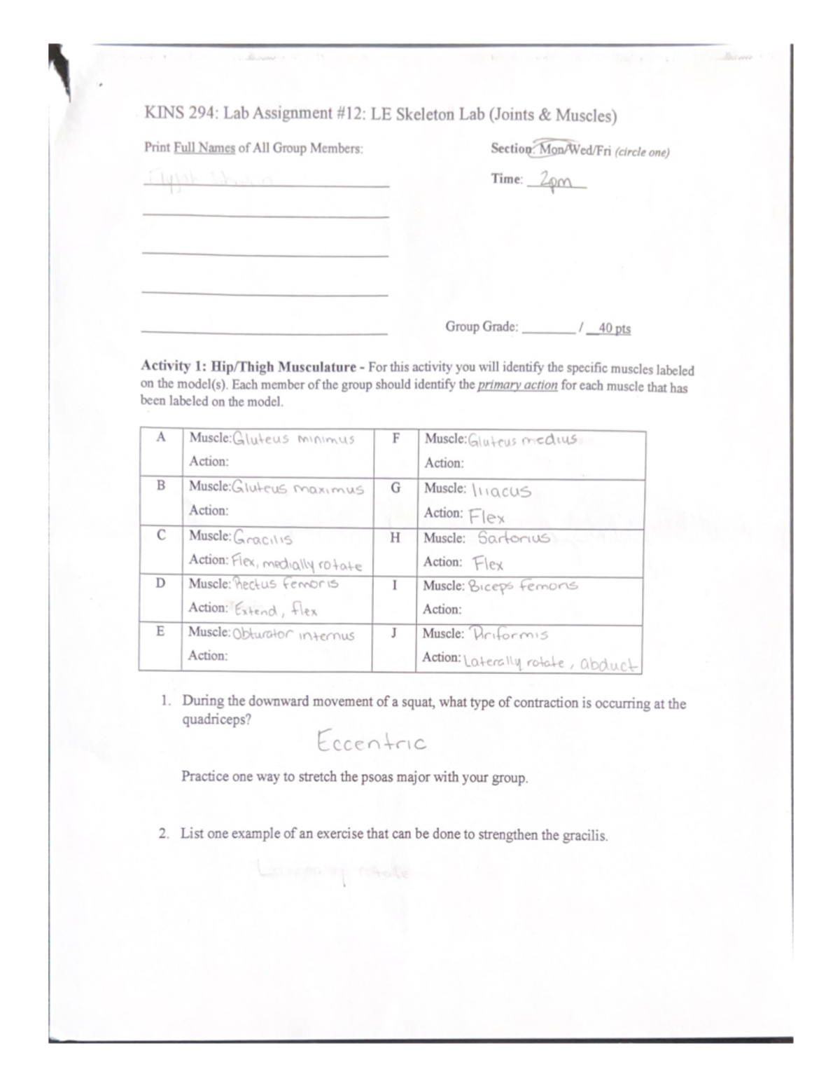 KINS 294 Lab Assignment #12 Lower Extremity Skeleton Lab (Joints and ...