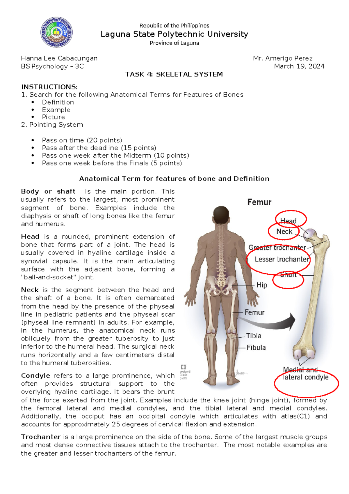TASK 4 Skeletal System- Cabacungan - Laguna State Polytechnic ...