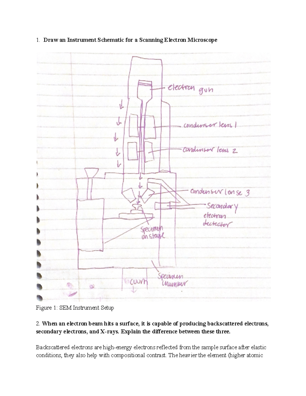 Analytical Lab Q&A 1 - Draw an Instrument Schematic for a Scanning ...