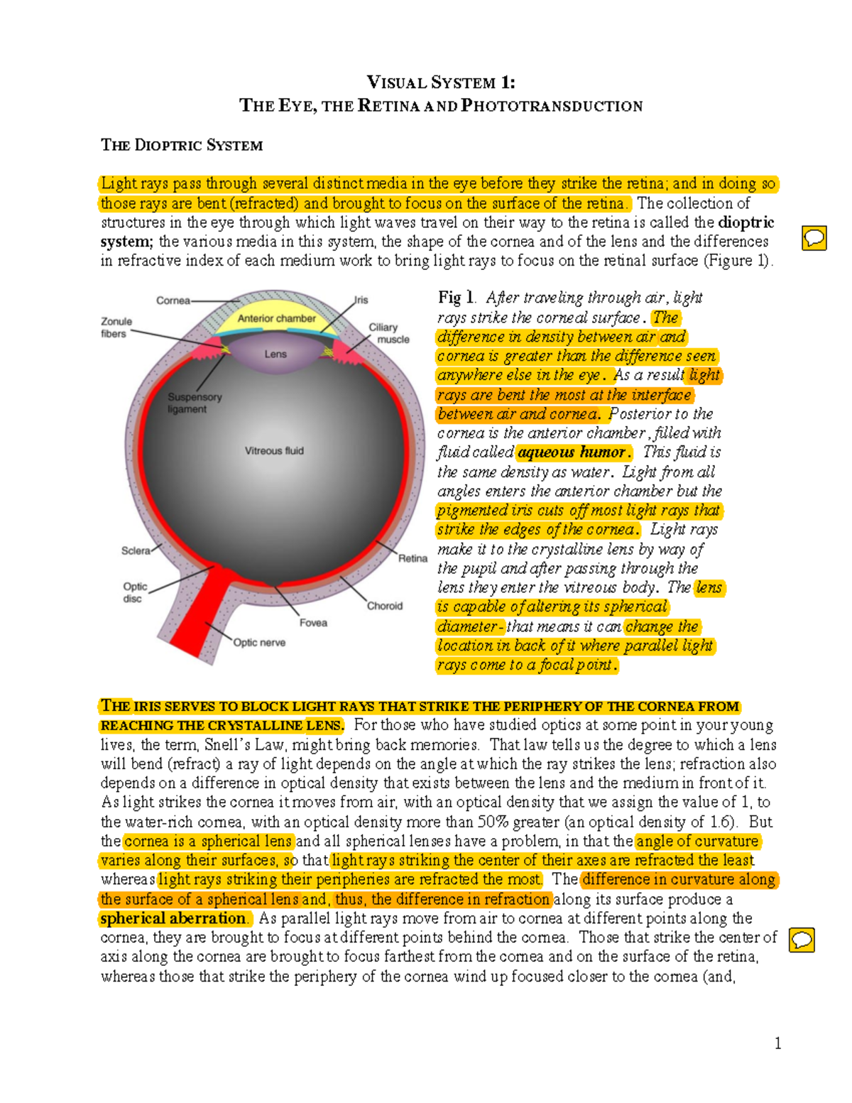 Lecture 18 Visual System-01 - Warning: Popup annotation has a missing or invalid parent ...