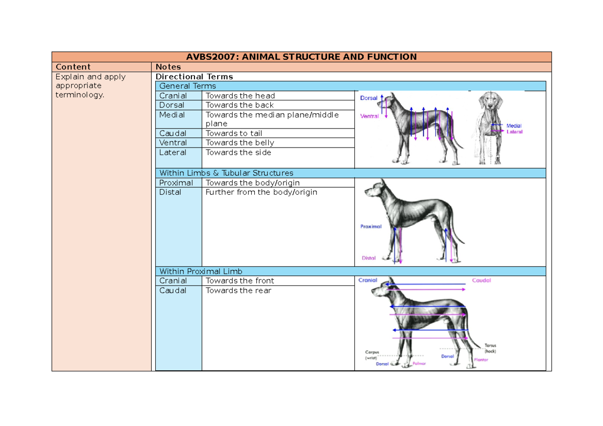 Avbs2007 Lecture Notes Part 1 - AVBS2007: ANIMAL STRUCTURE AND FUNCTION ...