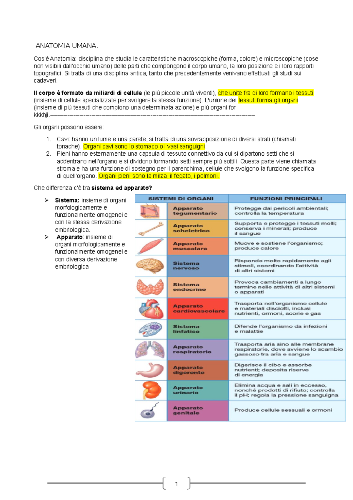 Anatomia Umana - ANATOMIA UMANA. Cos’è Anatomia: disciplina che studia ...