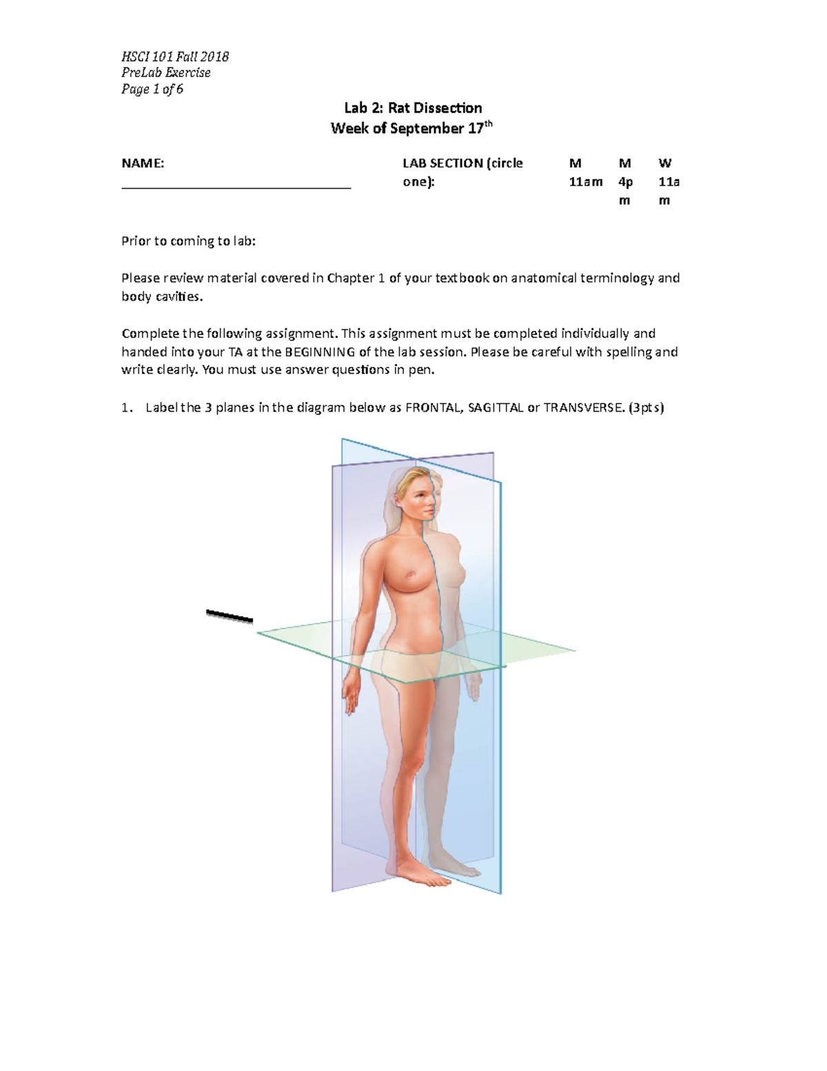 2 Pre Lab Rat Dissection Page 1 Of 6 Lab 2 Rat Dissection Week Of