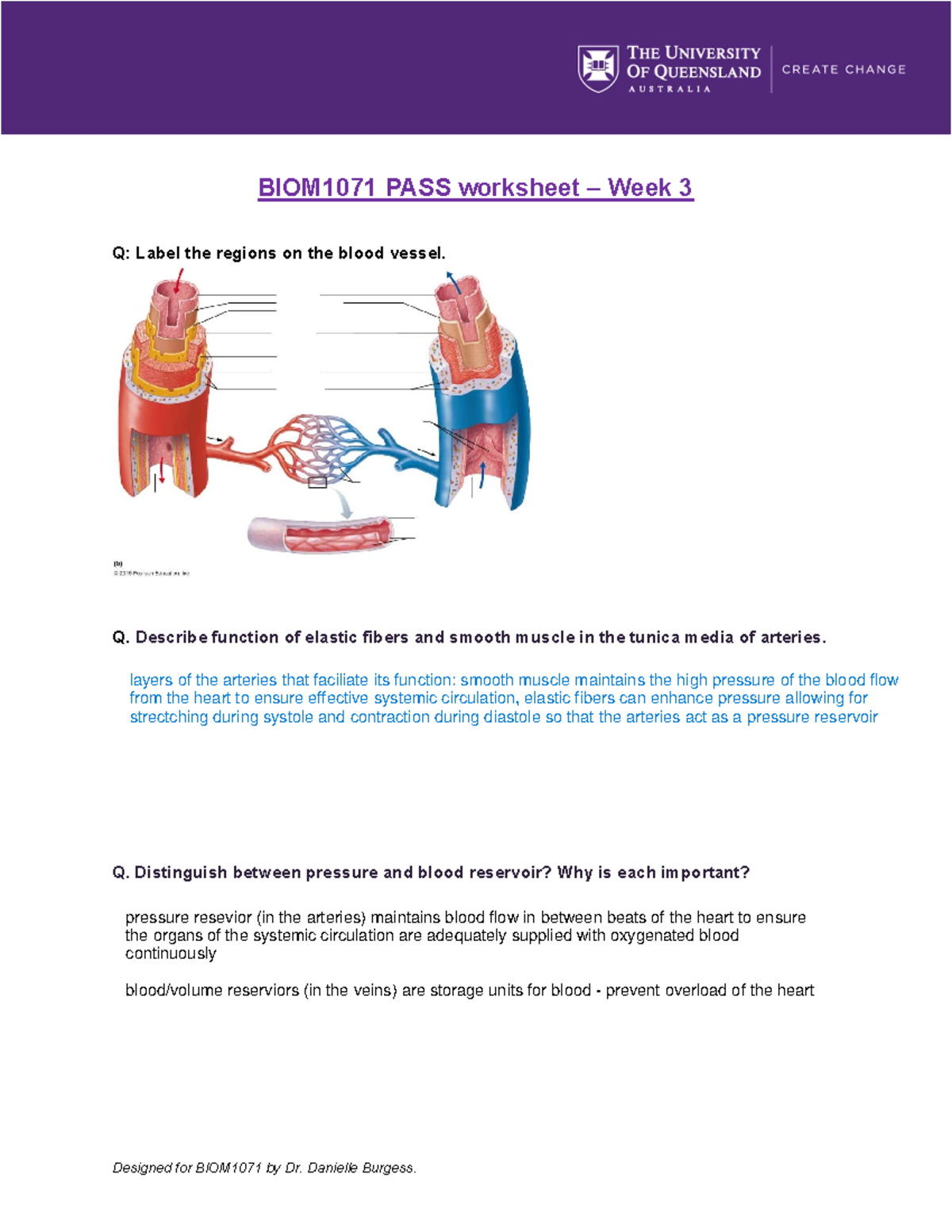 Week 3 - Cardiovascular 2 - BIOM1071 PASS worksheet – Week 3 Q: Label ...