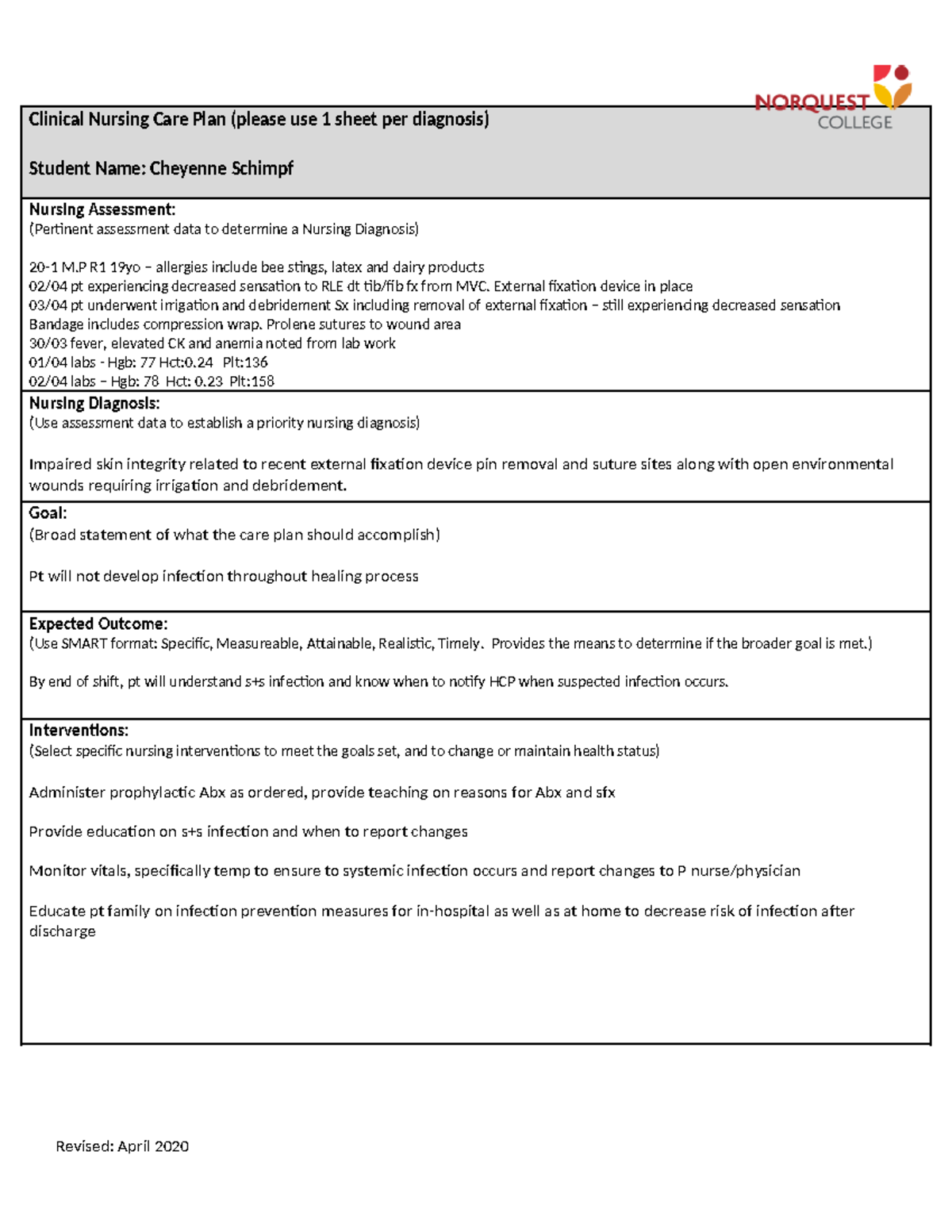 Nursing Care Plan Blank Revised April 2020 - Clinical Nursing Care Plan ...