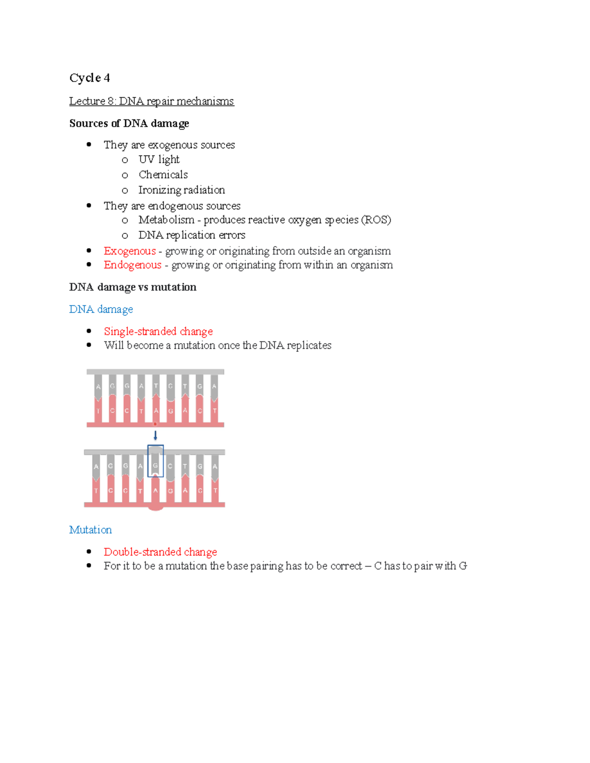 Cycle 4 - DNA mutations and repair - Cycle 4 Lecture 8: DNA repair ...