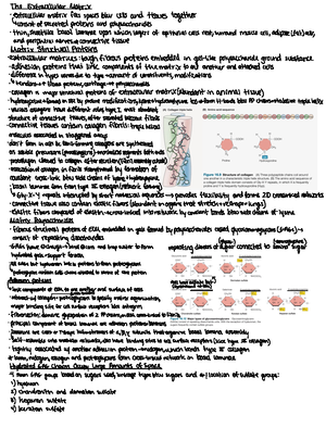 Cell Biology Study Guide - Cell Biology Study Guide: Membranes and ...