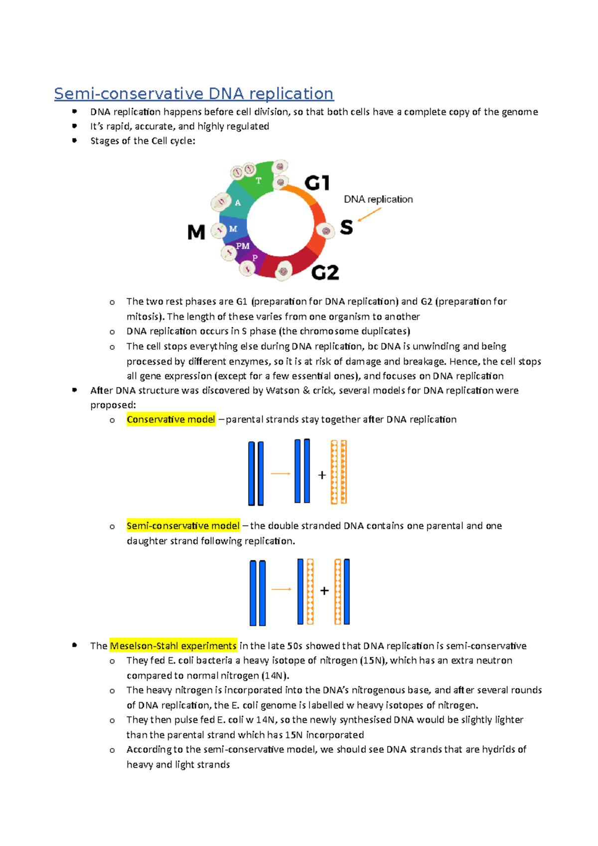 DNA replication - Lecture notes 3 - Semi-conservative DNA replication ...