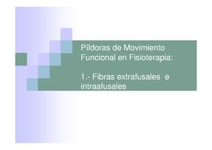Píldoras de MFF-2 Husos neuromusculares - de Movimiento Funcional en ...