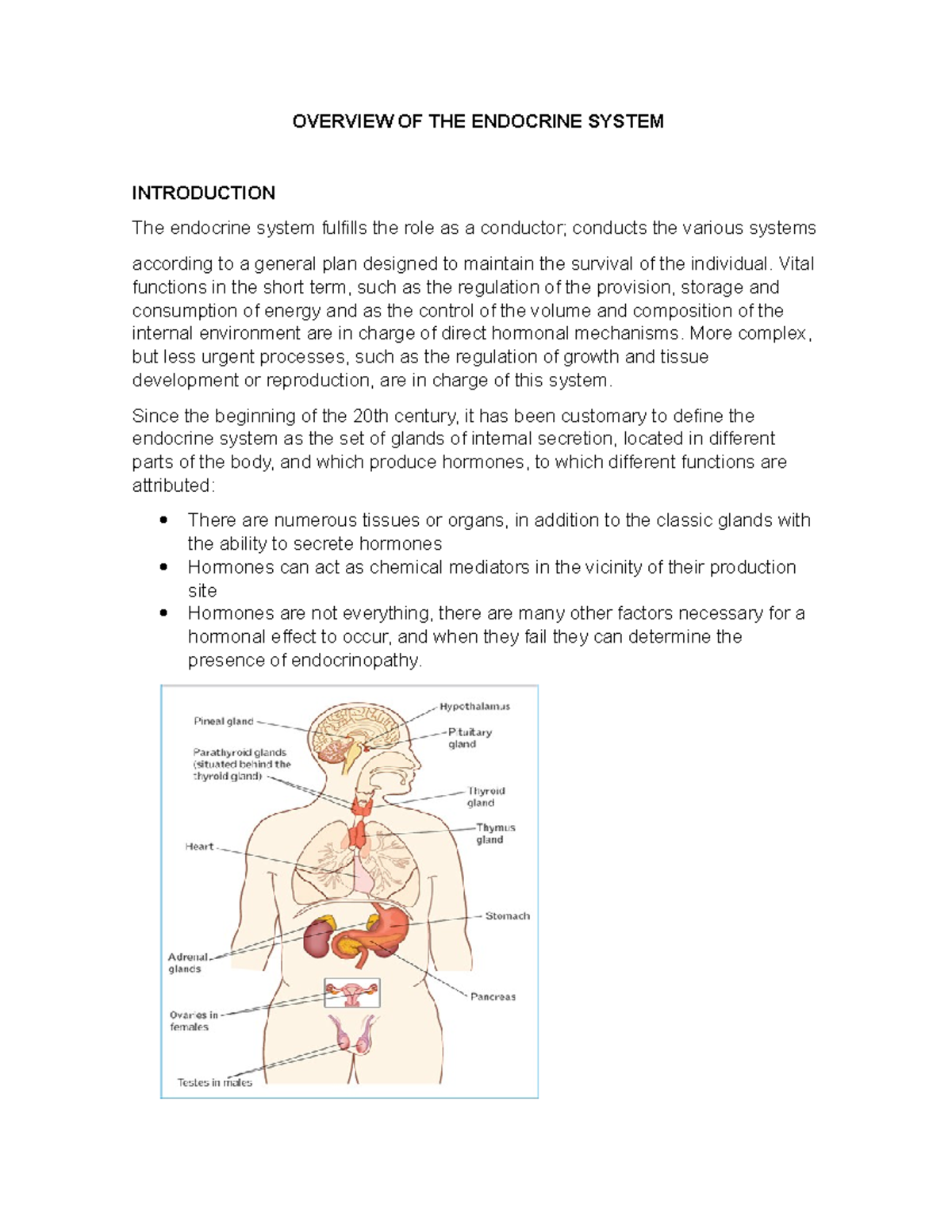 Overview of The Endocrine System - OVERVIEW OF THE ENDOCRINE SYSTEM ...