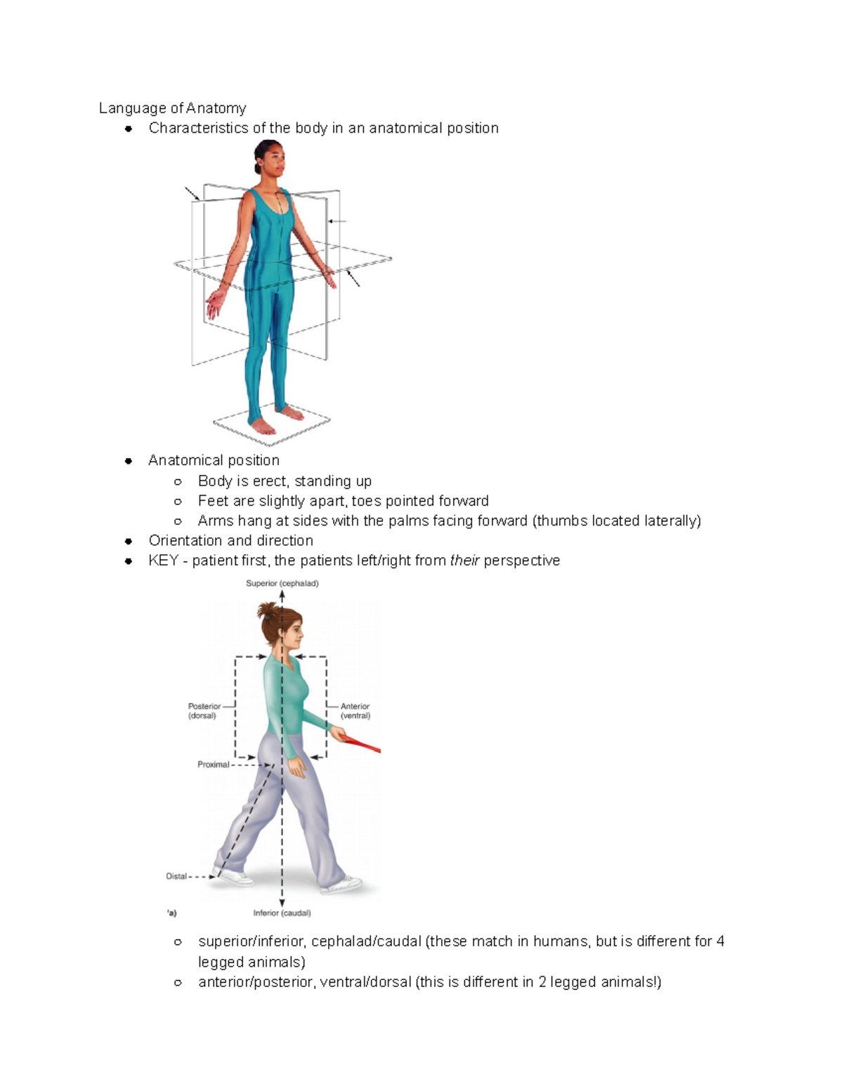 Unit 1 Language Of Anatomy Lab Notes Language Of Anatomy