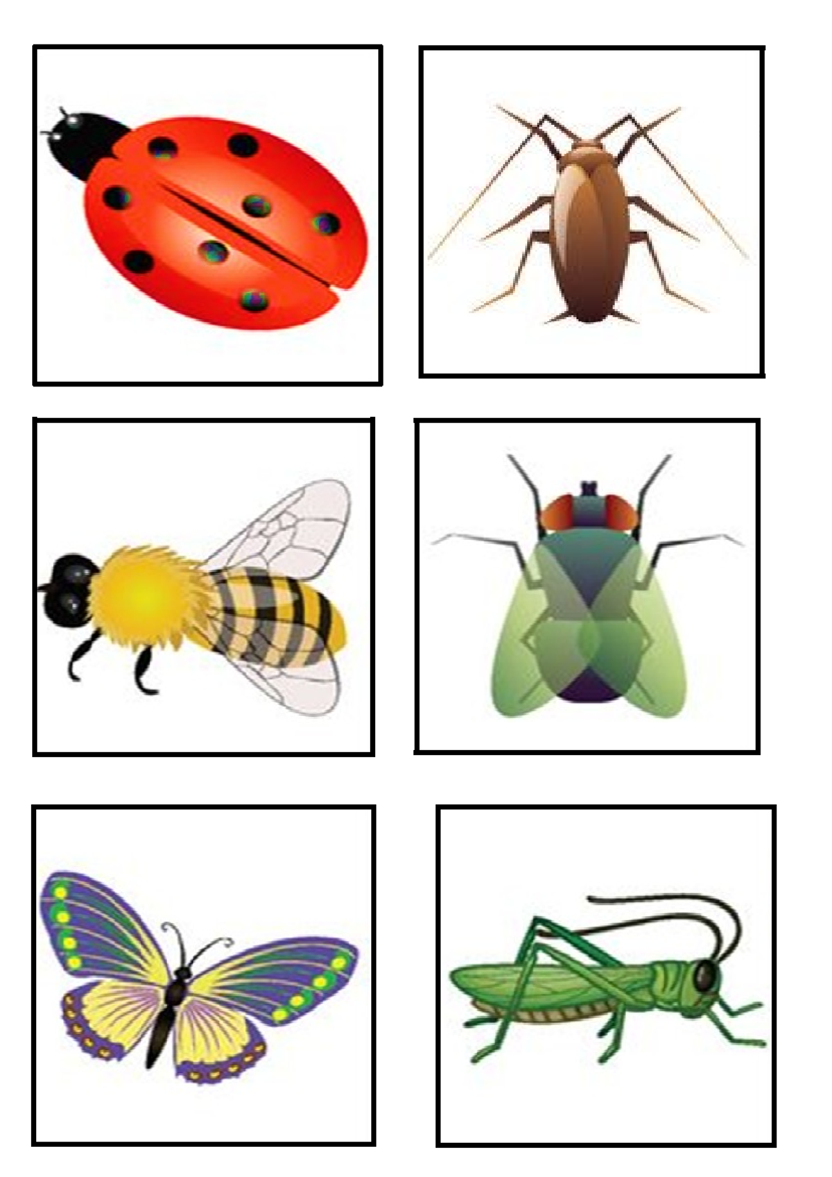 HOJA Grafica - Educacion primaria - PINTA Y ENCIERRA LOS INSECTOS - Studocu