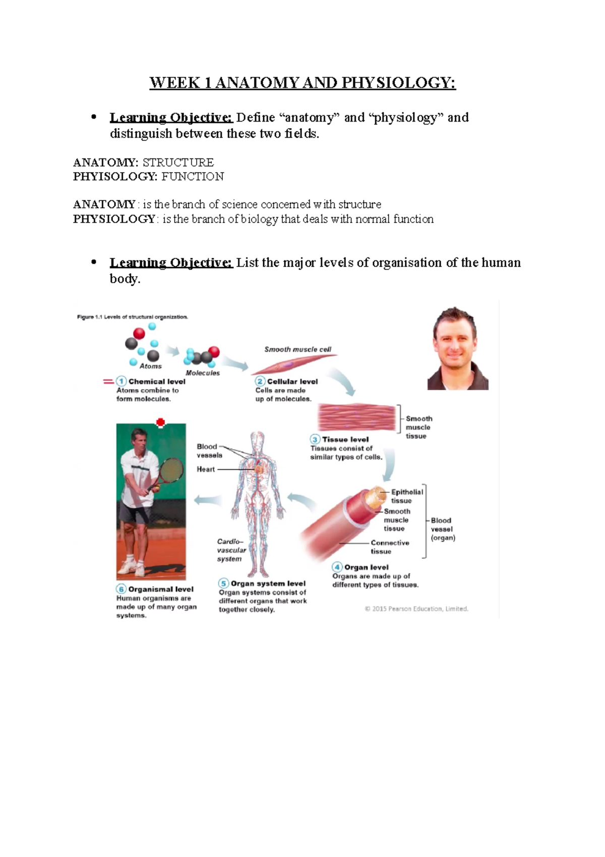 WEEK 1 A&P NOTES - WEEK 1 ANATOMY AND PHYSIOLOGY: Learning Objective ...