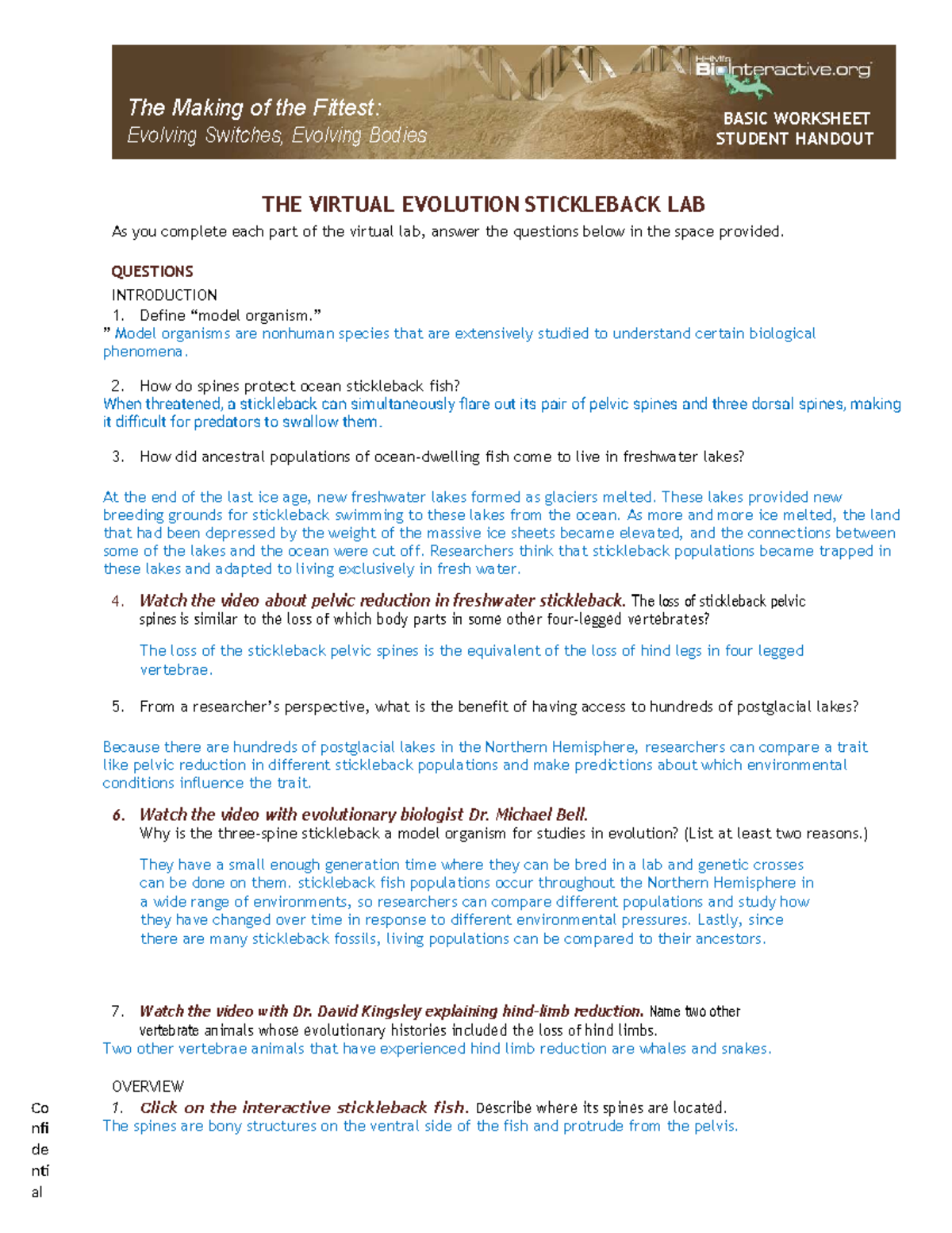 Stickleback Basic Lab Student-converted - Evolving Switches, Evolving ...