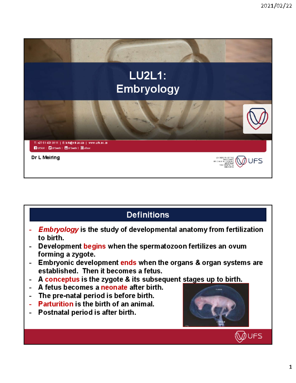 Learning Unit 2 Lesson 1 Embryology study of developmental anatomy ...