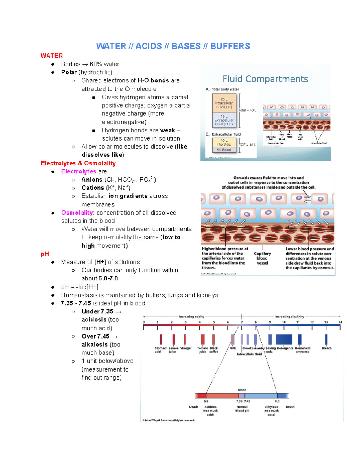 Hthsci ILL3 - Final exam notes - WATER // ACIDS // BASES // BUFFERS ...