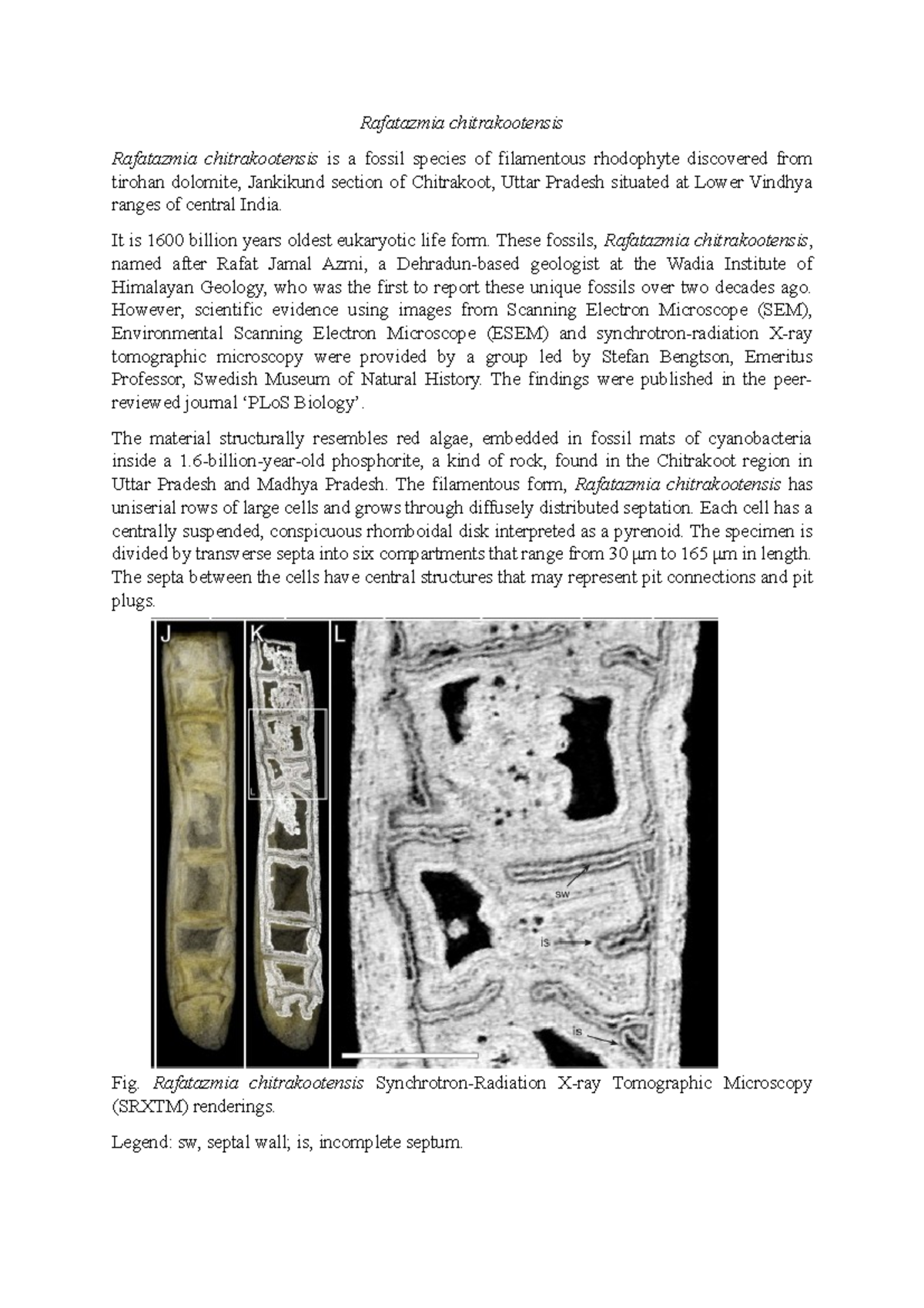 Rafatazmia chitrakootensis note - Rafatazmia chitrakootensis Rafatazmia ...