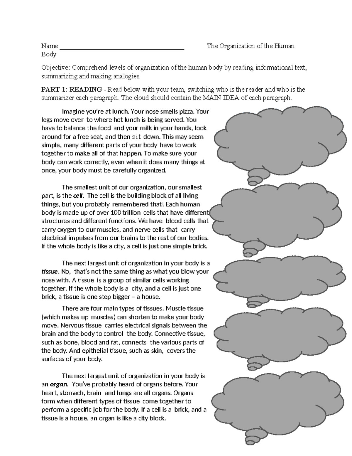 Organization of the Human Body: Understanding Levels of Structure ...