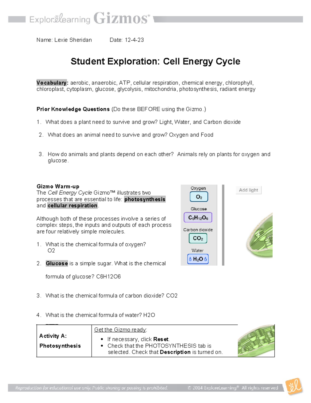 Cell Energy Cycle Gizmo - Name: Lexie Sheridan Date: 12-4- Student ...