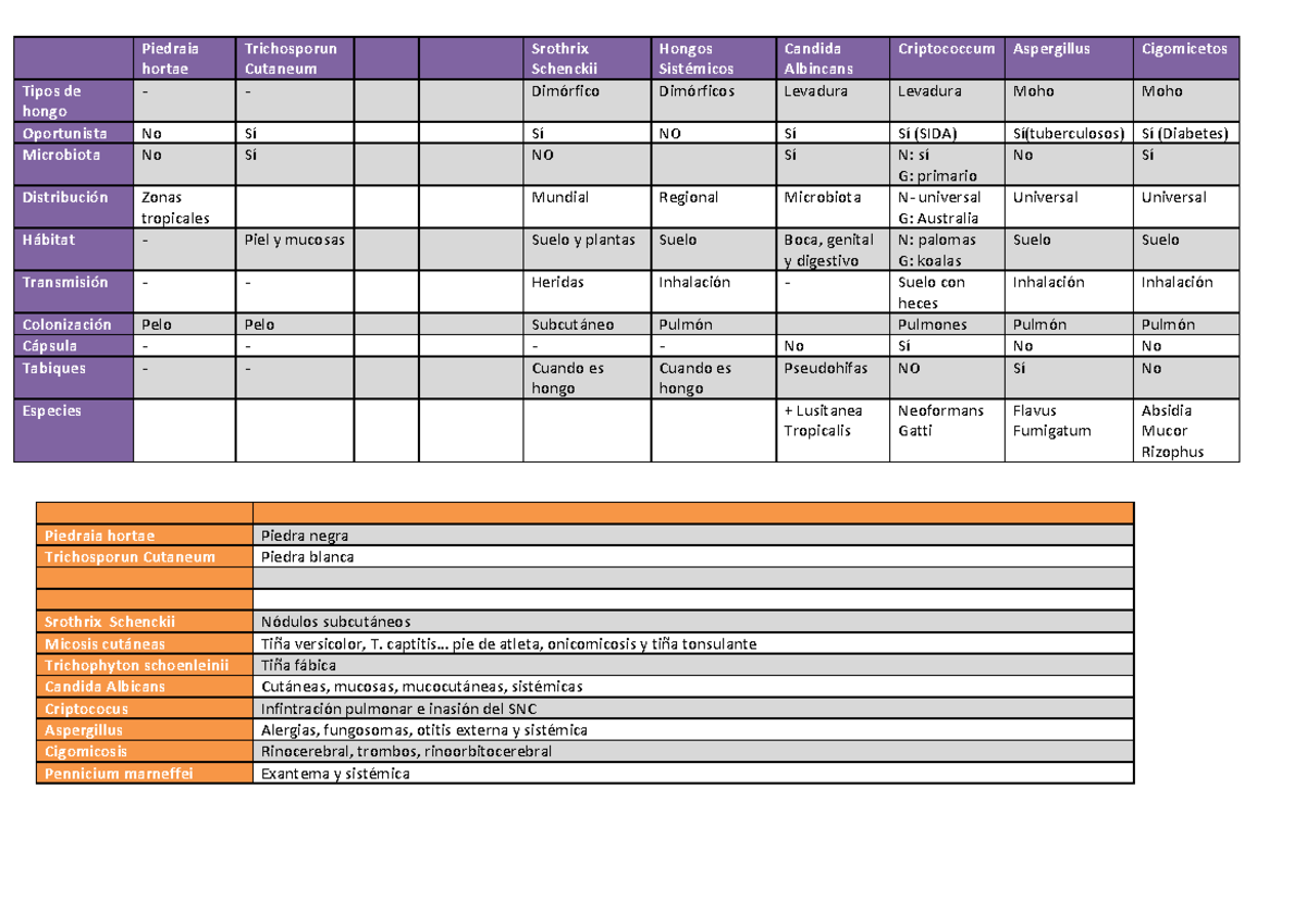 Esquema hongos - Apuntes 2 - Piedraia hortae Piedra negra Trichosporun ...