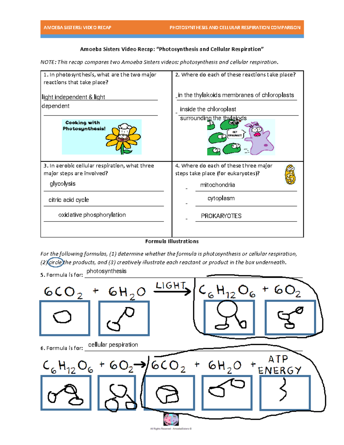 Kami Export - Ameoba Sisters Photosynthesis Video Recap - AMOEBA ...