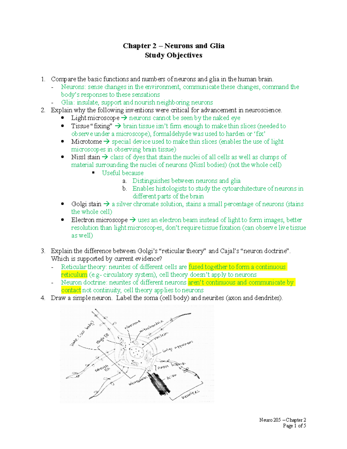 Chapter 2 study guide - Chapter 2 Neurons and Glia Study Objectives 1 ...