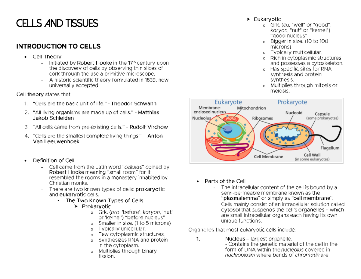 L2 Anatomy Prelims - anaphy - General Psychology - Cells and Tissues ...