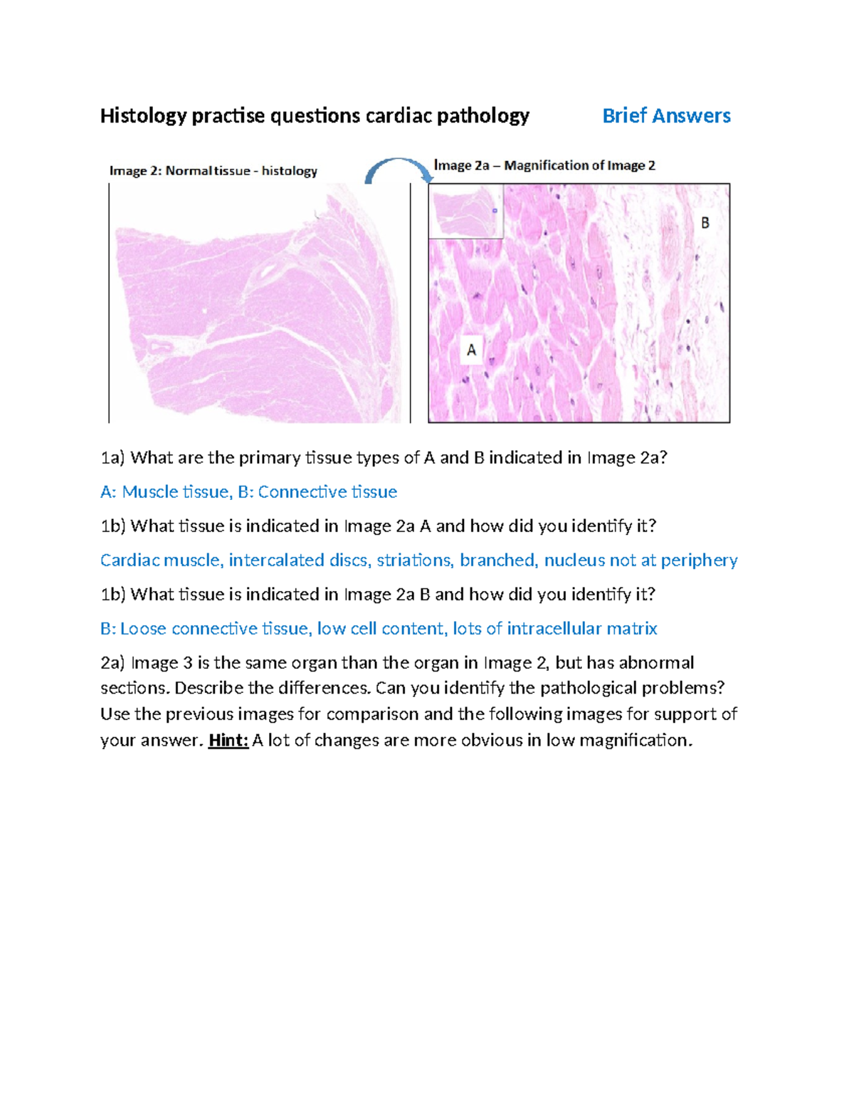 Histology cardiac pathology practise questions answers students ...