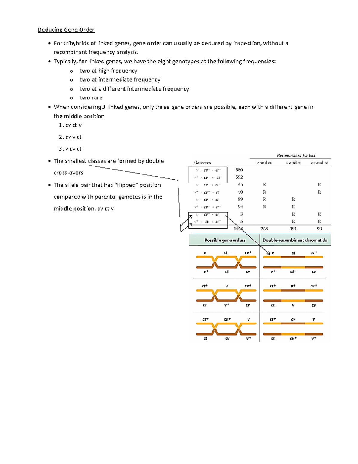 Chapter 4 notes continued - Deducing Gene Order For trihybrids of ...