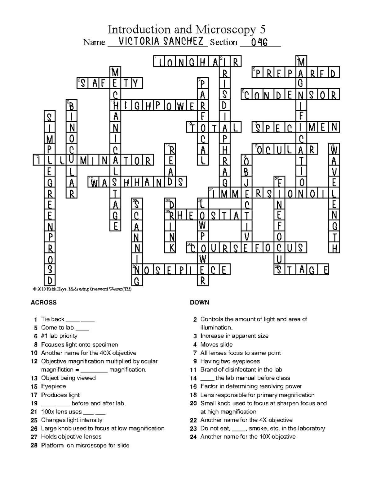 Crossword Puzzle On Microbiology Introduction And Microscopy 5 Name