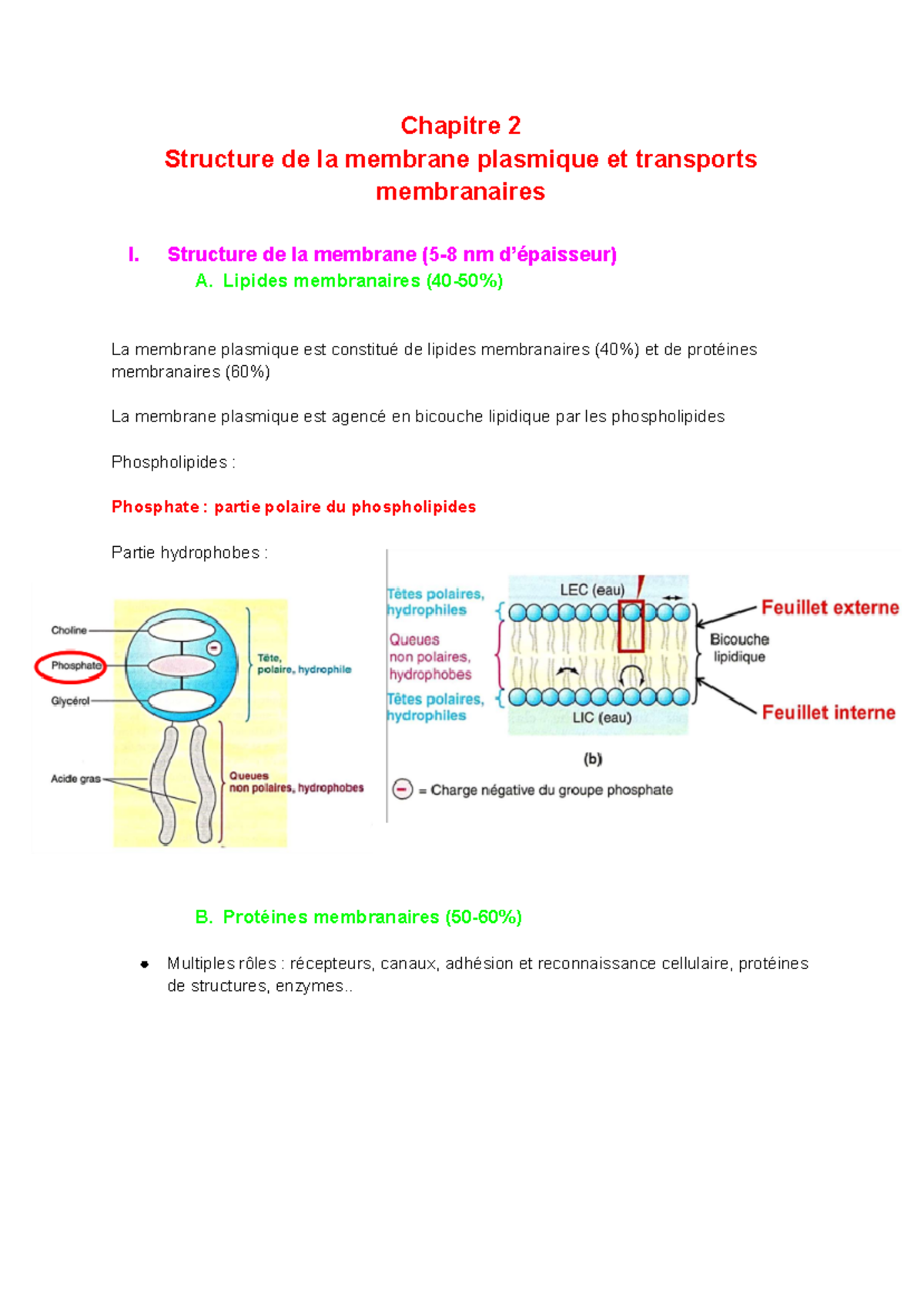 Neurophysiologie chap 3 - Chapitre 2 Structure de la membrane plasmique et transports ...