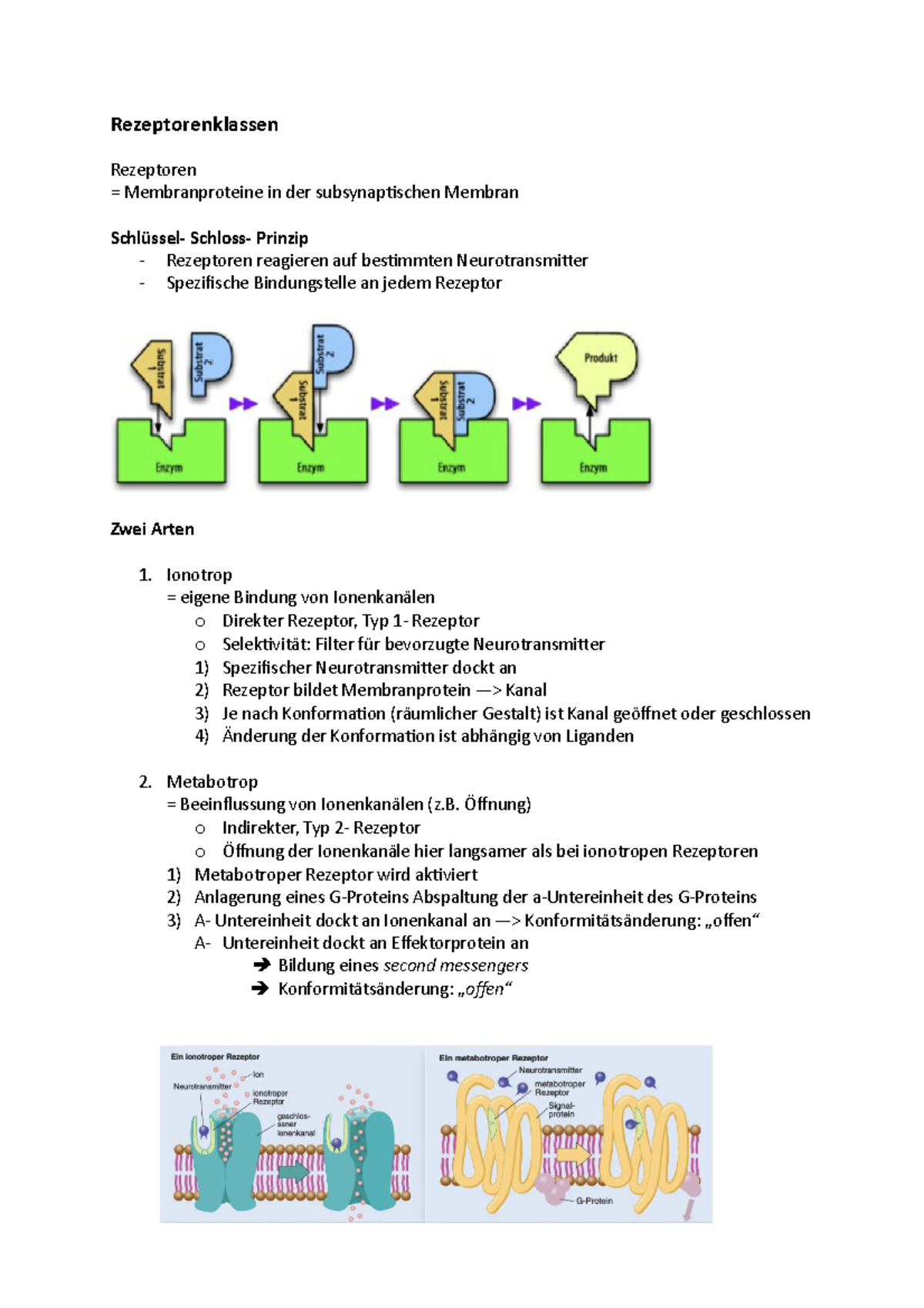 Kernrezeptoren Für Arbeitnehmer – PJLM