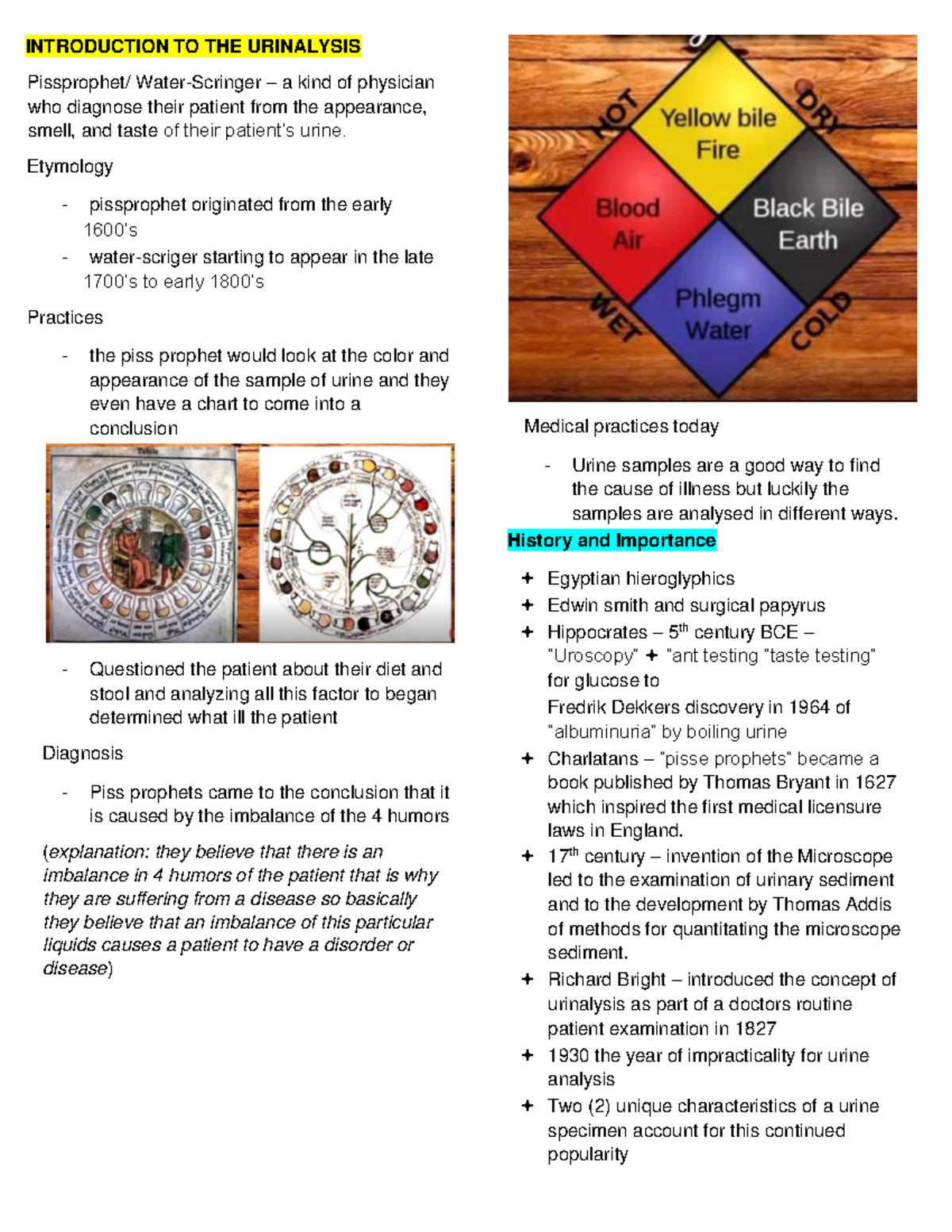 Urinalysis Notes 9 - INTRODUCTION TO THE URINALYSIS Pissprophet/ Water ...