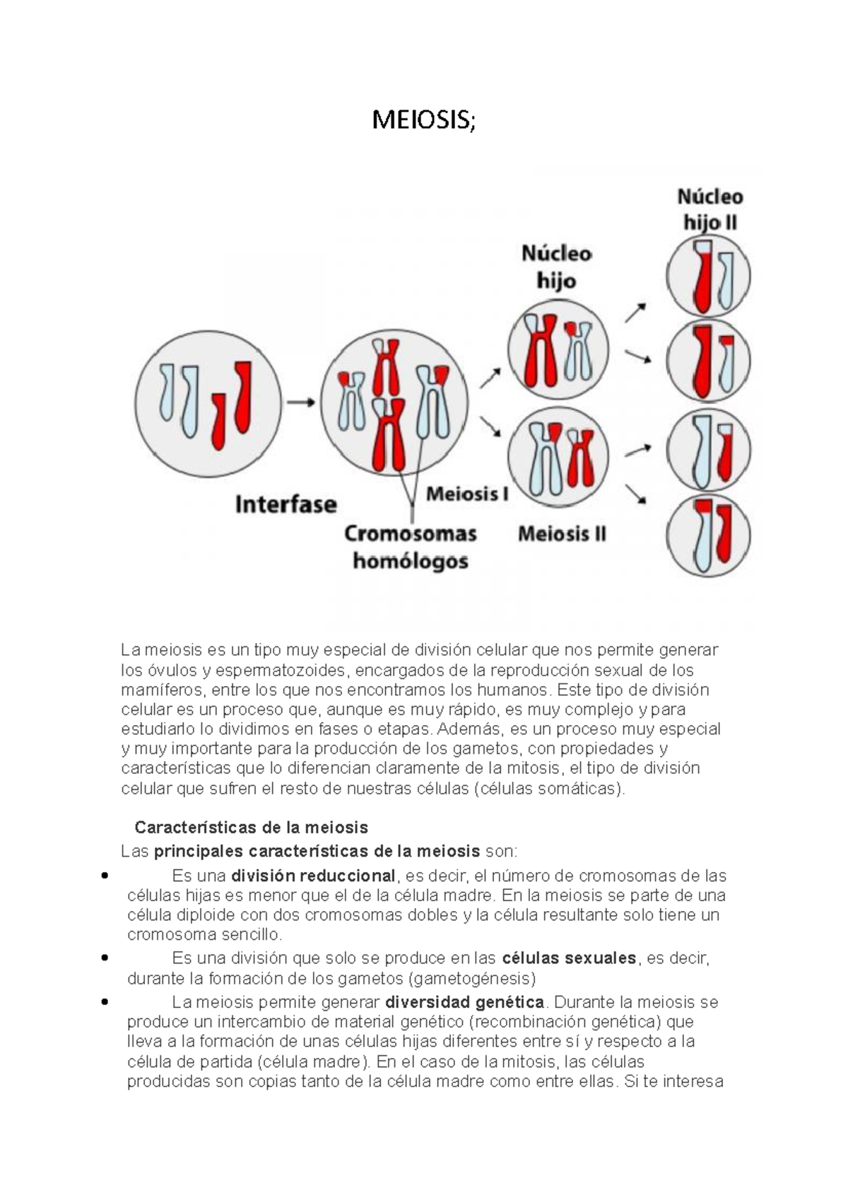 Meiosis - ESTUDIO DEL SER HUMANO - MEIOSIS; La meiosis es un tipo muy ...