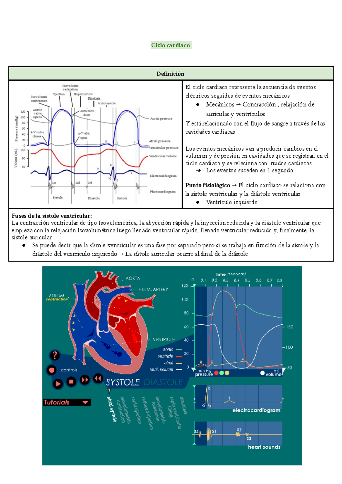 Ciclo cardiaco - Se puede decir que la sístole ventricular es una fase ...