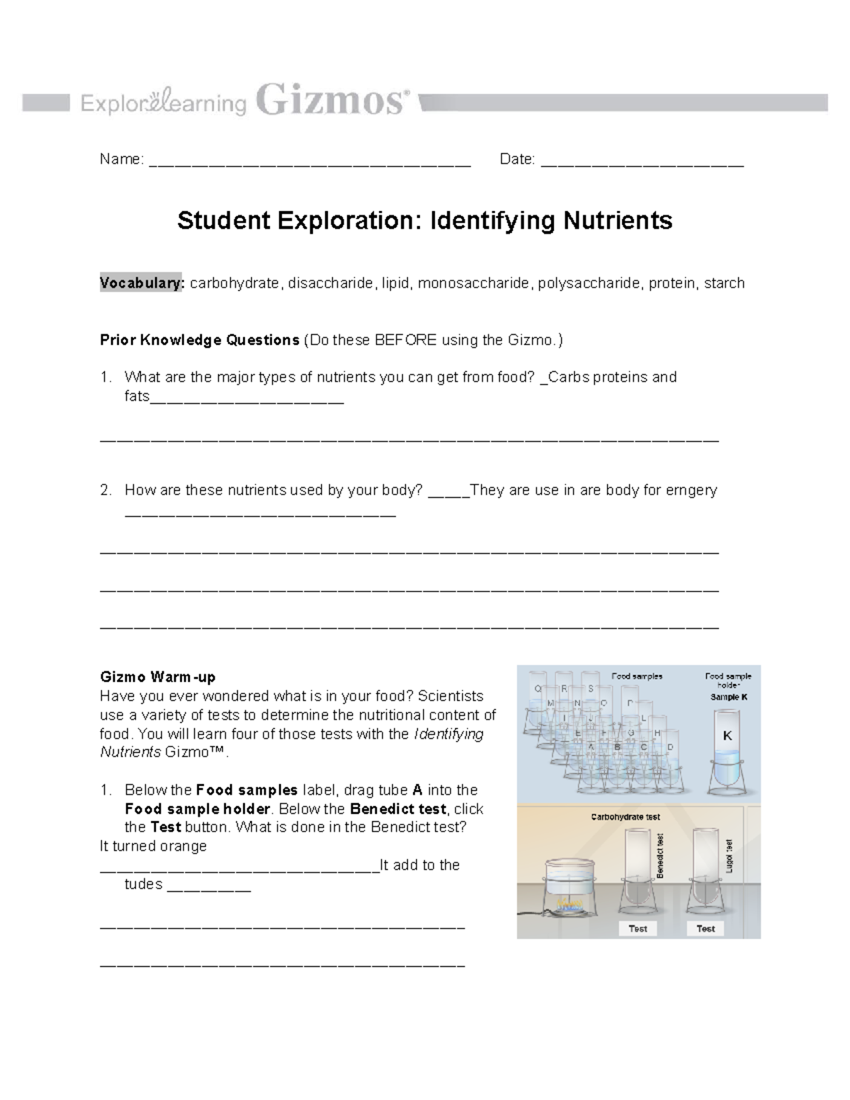 Copy of Identifying Nutrients SE - Name ...