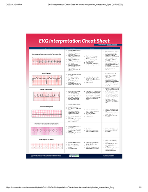 EKG-Interpretation-Cheat-Sheet-for-Heart-Arrhythmias Nurseslabs 3 - EKG ...