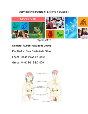 M09S2AI3 actividad integradora numero 3 del modulo 9 - Semblanza ...